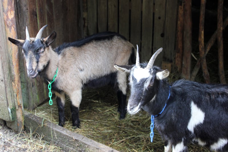 Tour of the Homestead Part III