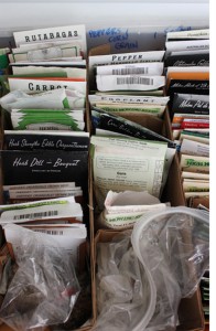 A Simple Seed Storage and Organization System | Homestead Honey