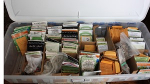 A Simple Seed Storage and Organization System | Homestead Honey