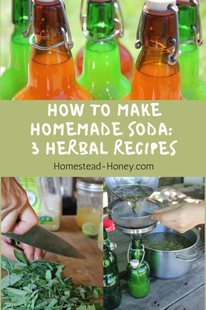 homemade-soda-pin-1 - Homestead Honey