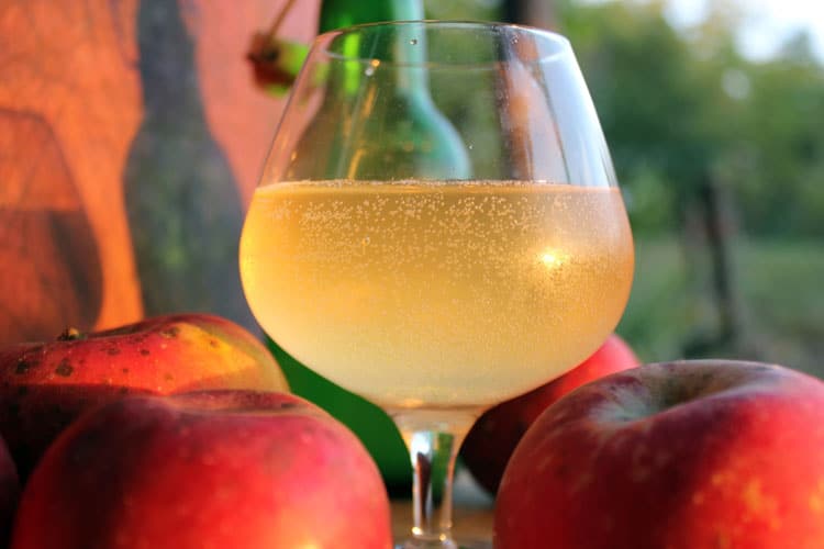How To Make Hard Cider In 5 Easy Steps Homestead Honey