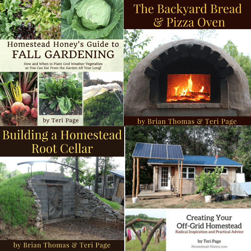 Courses and Books | Homestead Honey