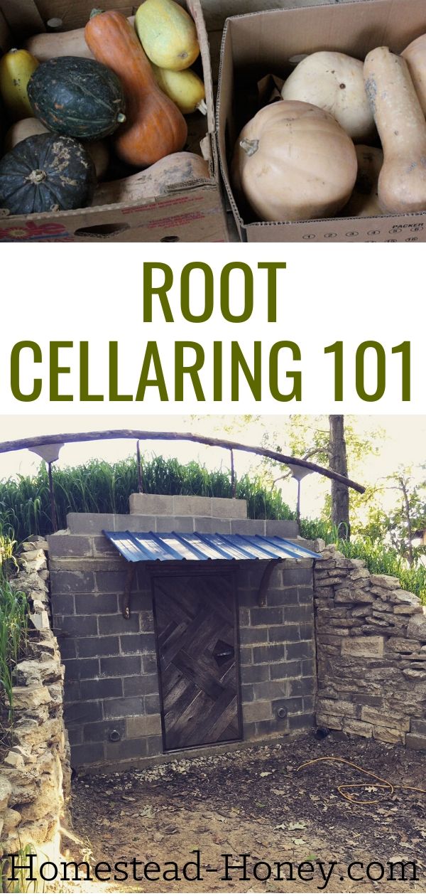 Outdoor Root Cellar